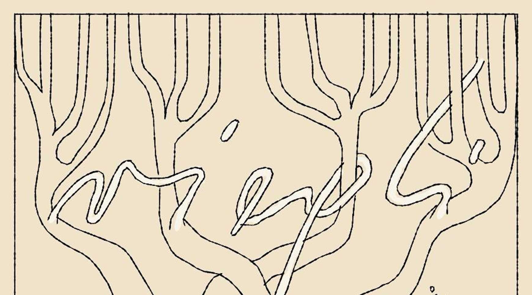 Fondam "Viegli" 15 - "un cilvēkiem labs prāts" - Purvīša muzejs